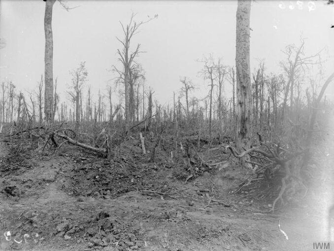 Battle Of Mametz Wood – 5th-12th July 1916